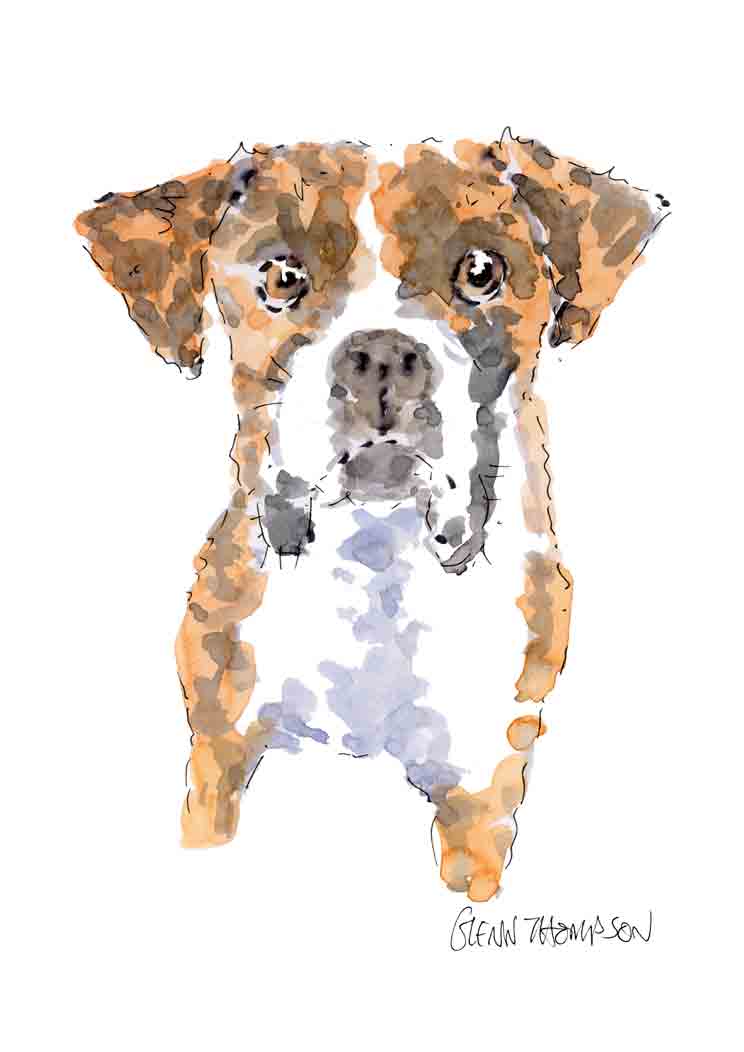 Boxer #1P – Glenn Thompson Art