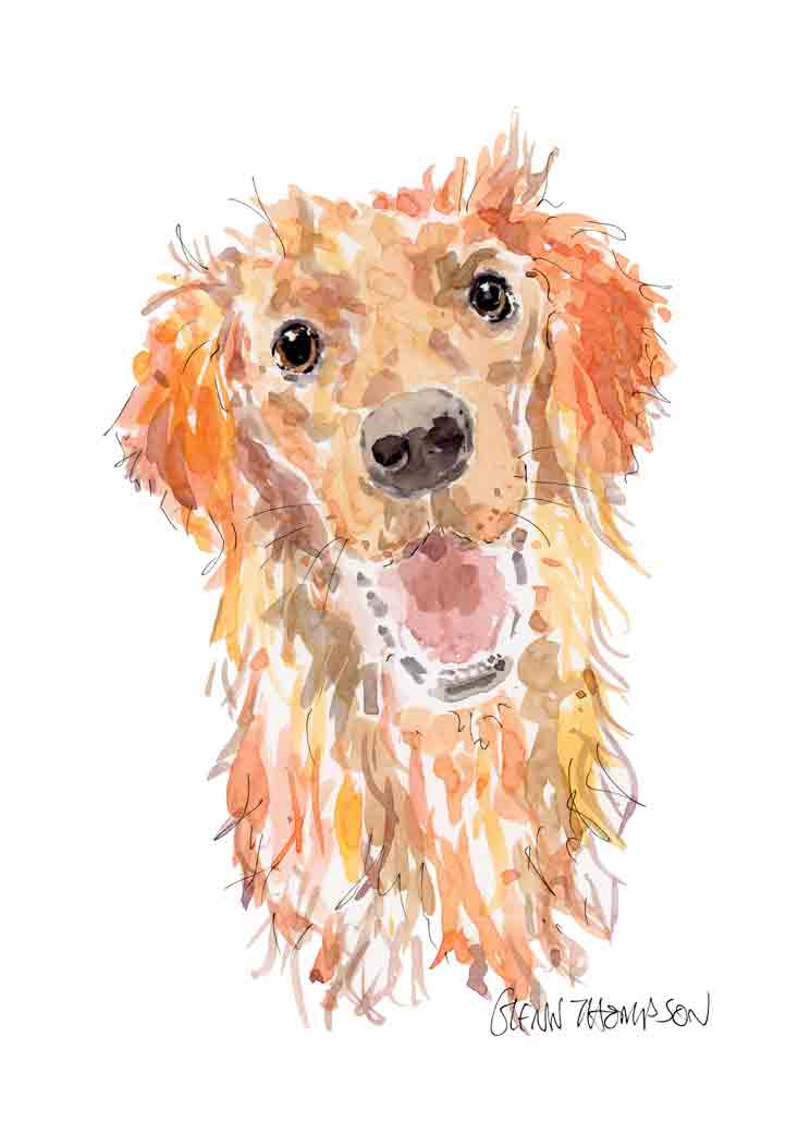 Red Setter #1P – Glenn Thompson Art